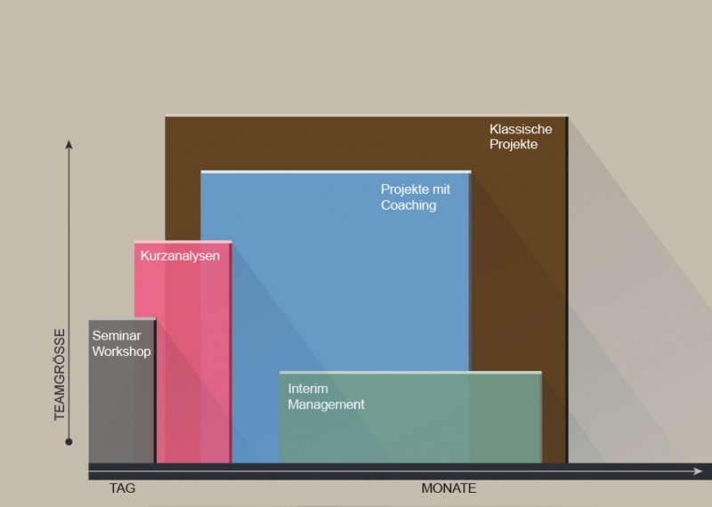 Arbeitsweise - pareto managementpartner